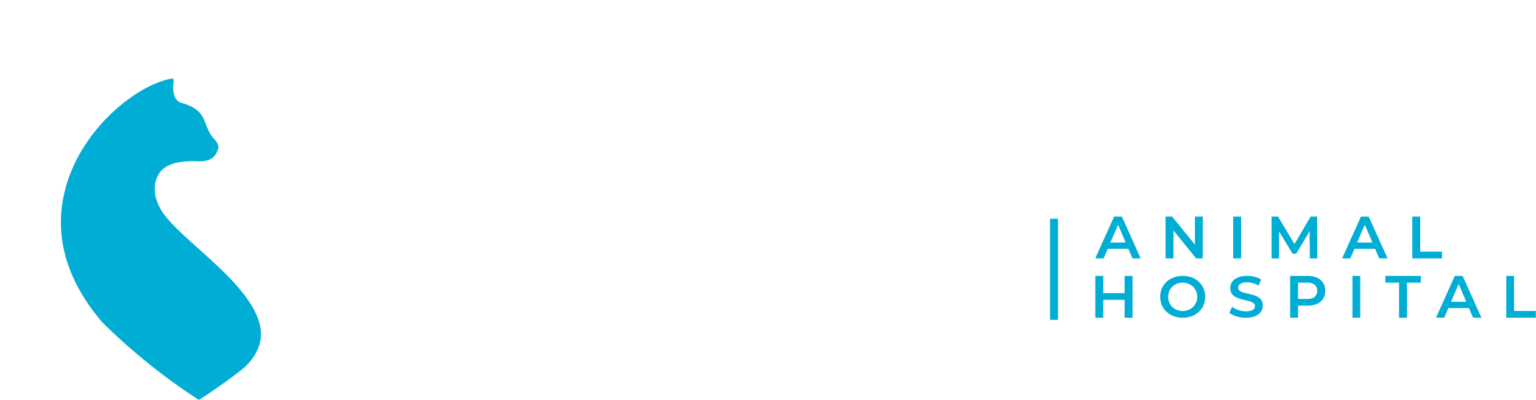 Contact Our Veterinary Clinic in Summerfield, FL | Mulberry Grove ...